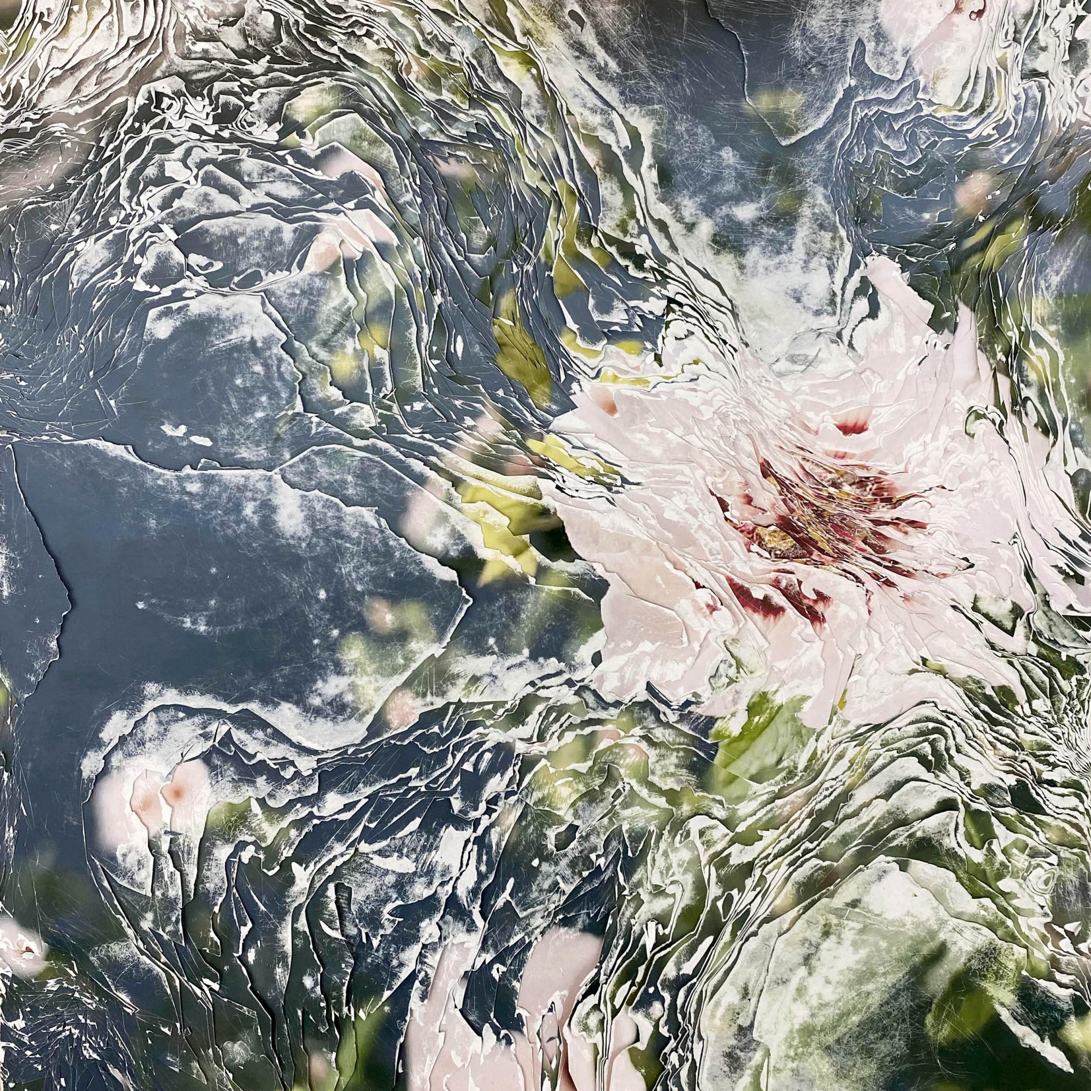 Naturalized Species — MARPH