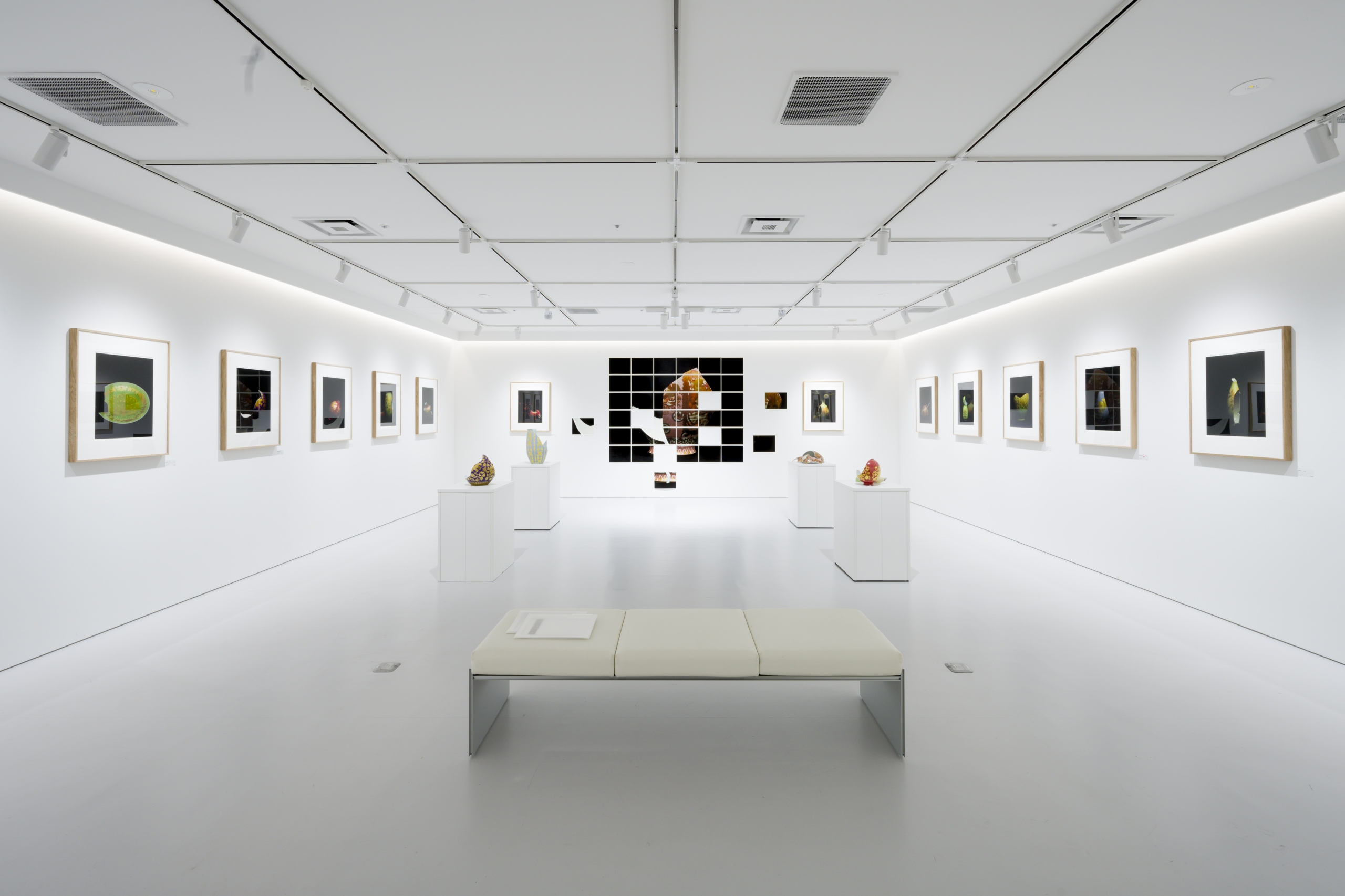 YUGEN Gallery — MARPH