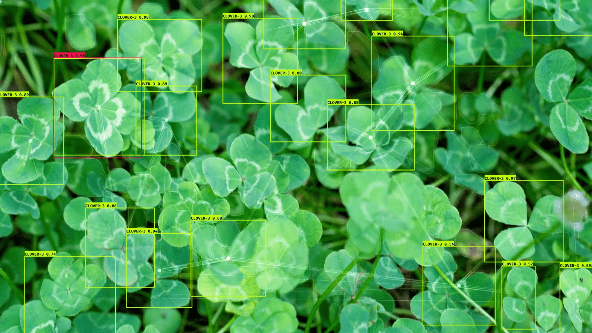 スプツニ子！（Sputniko!） — MARPH